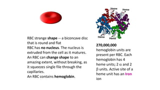 Basic Inorganic chemistry part 3 Bioinorganic chemistry (1).pptx