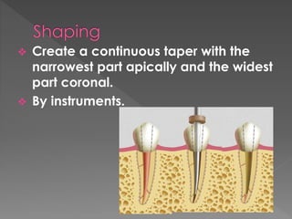 Basic endodontics instruments its use in cleaning and shapeing | PPTX ...