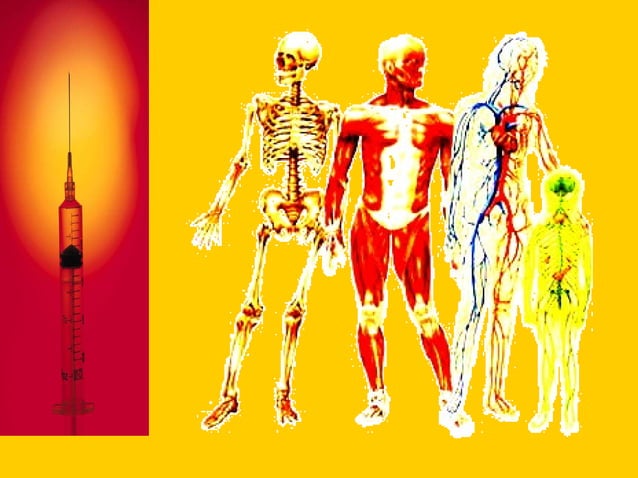 Basic Intravenous Therapy 3: Fluids And Electrolytes, Balance and ...