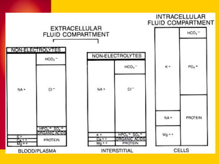 Basic Intravenous Therapy 3: Fluids And Electrolytes, Balance and ...