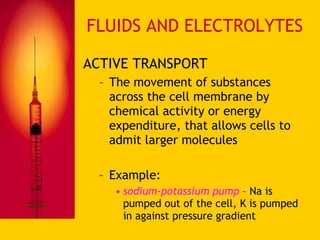 Basic Intravenous Therapy 3: Fluids And Electrolytes, Balance and ...