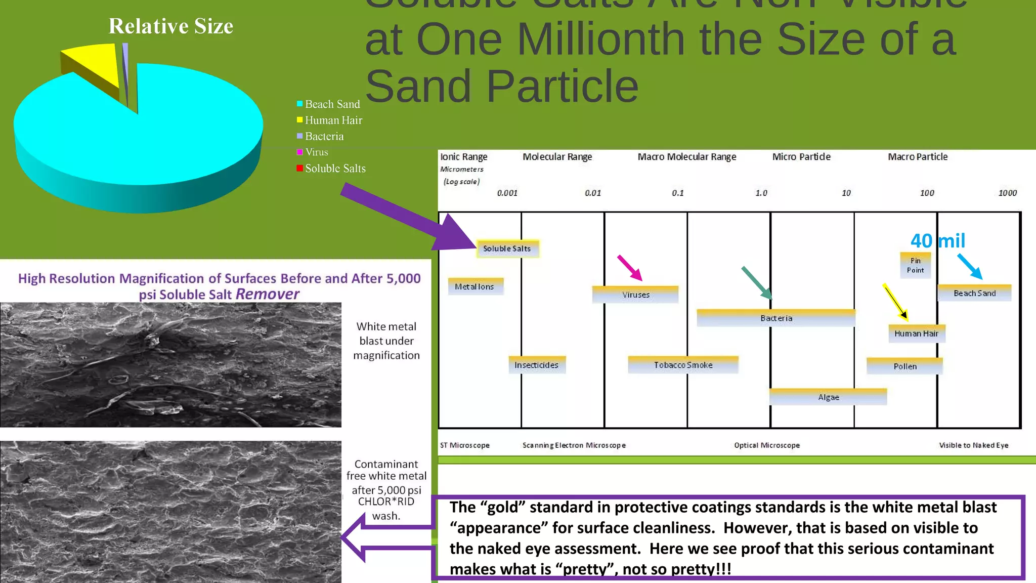 Basic introduction chlor rid (1) | PPS