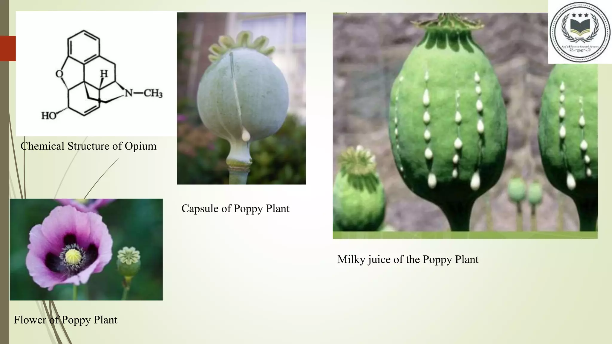 Basic Introduction of drugs 2.pptx