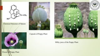 Basic Introduction of drugs 2.pptx