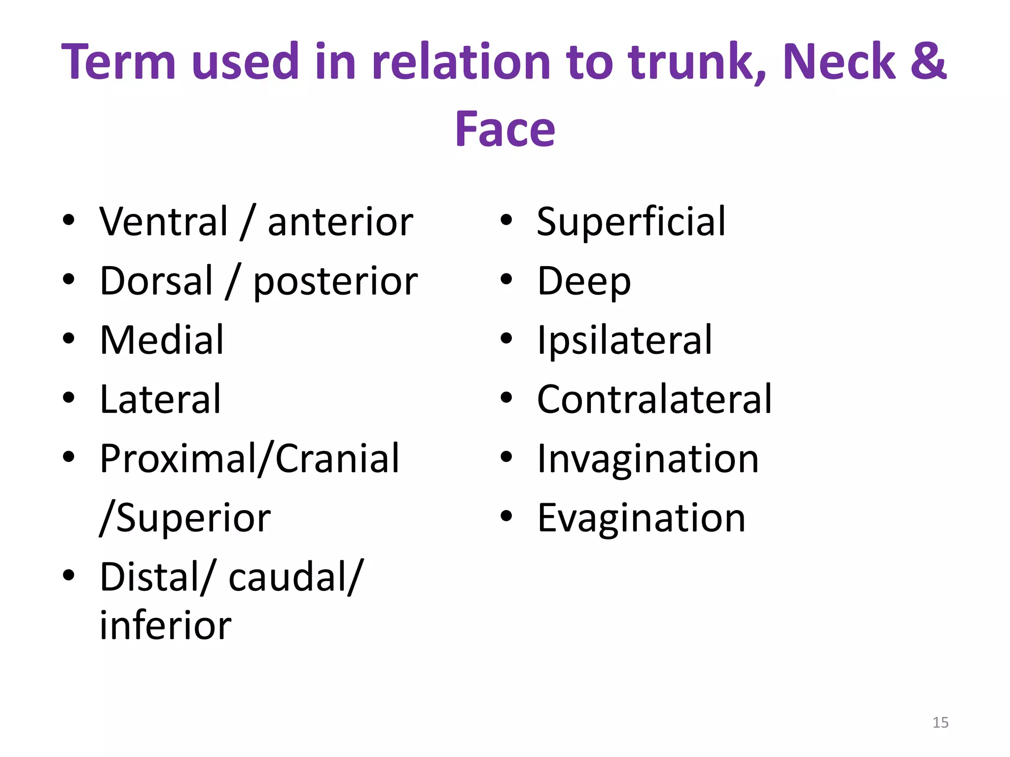 Basic introduction of human anatomy | PPTX