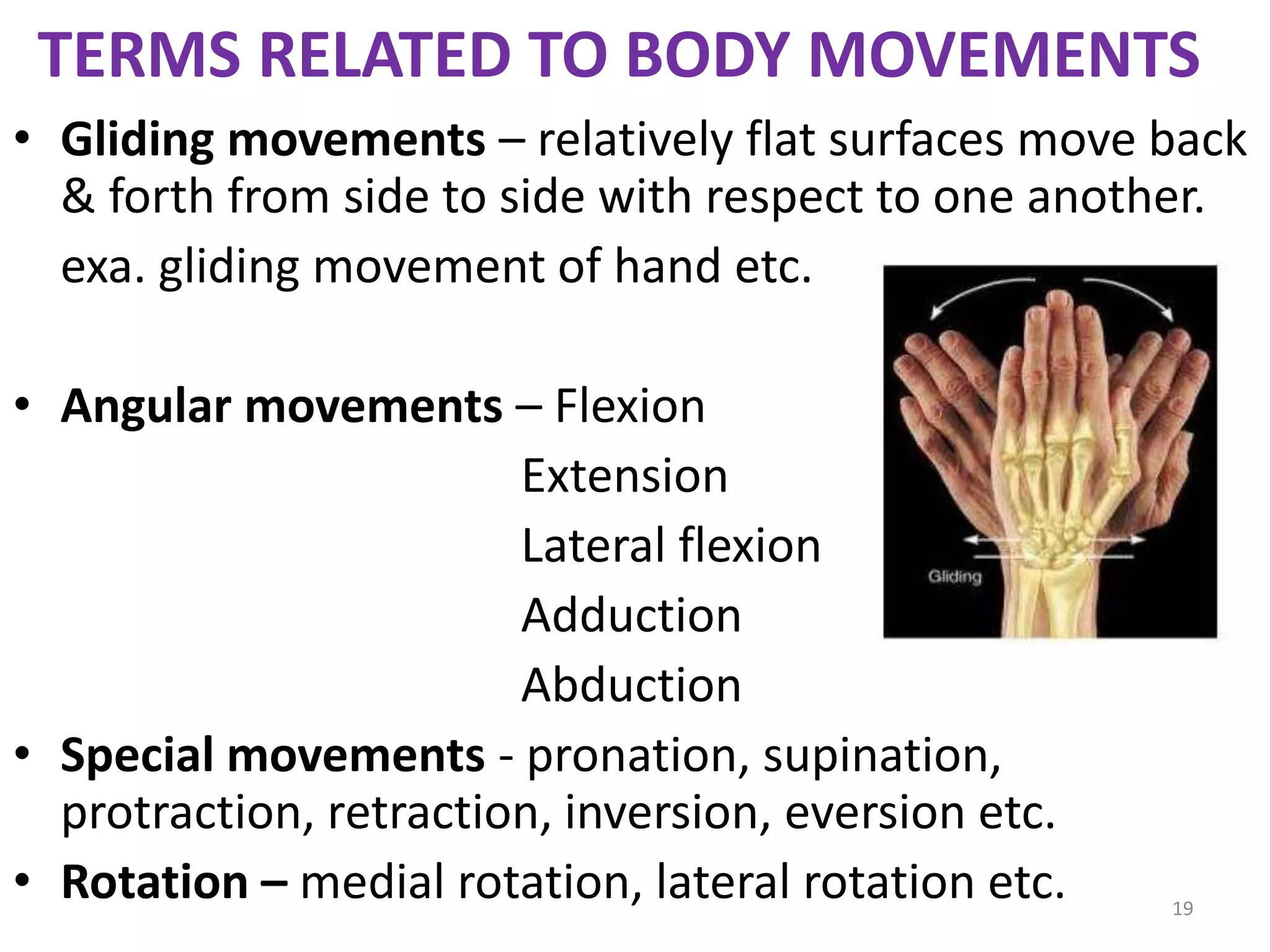 Basic introduction of human anatomy | PPTX