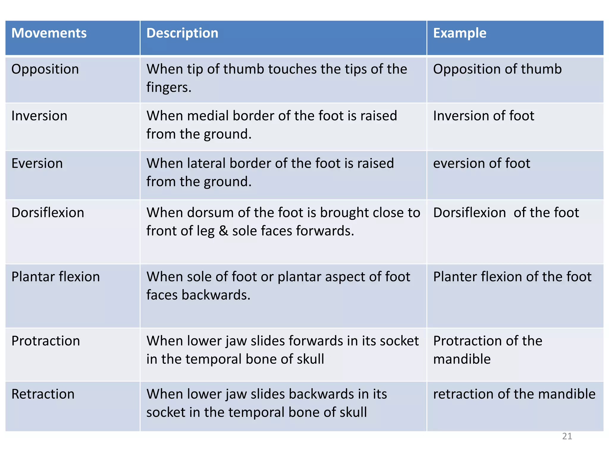 Basic introduction of human anatomy | PPTX