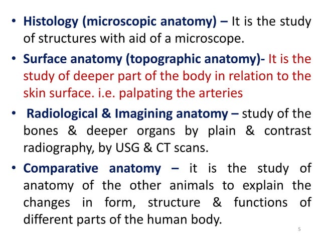 Basic introduction of human anatomy | PPTX