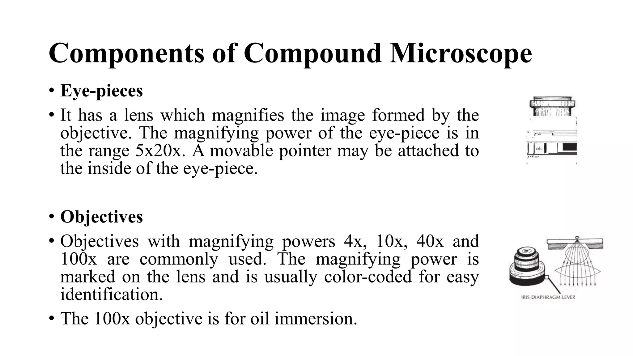 Basic introduction of microscopy with types and staining | PPTX | Photography | Arts and Crafts