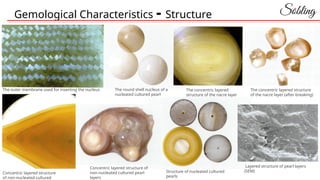 Basic Introduction Of Organic Gemstones And Pearls.pptx