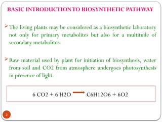 basic introduction to biosynthetic pathway.pptx