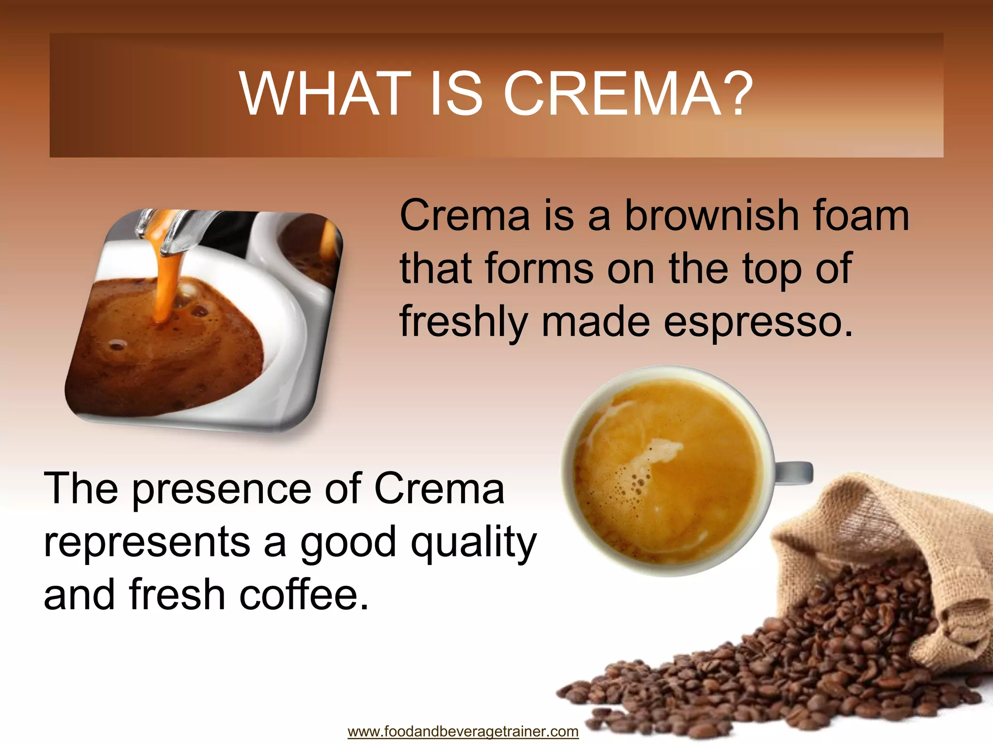 Coffee - Basic Introduction | PDF