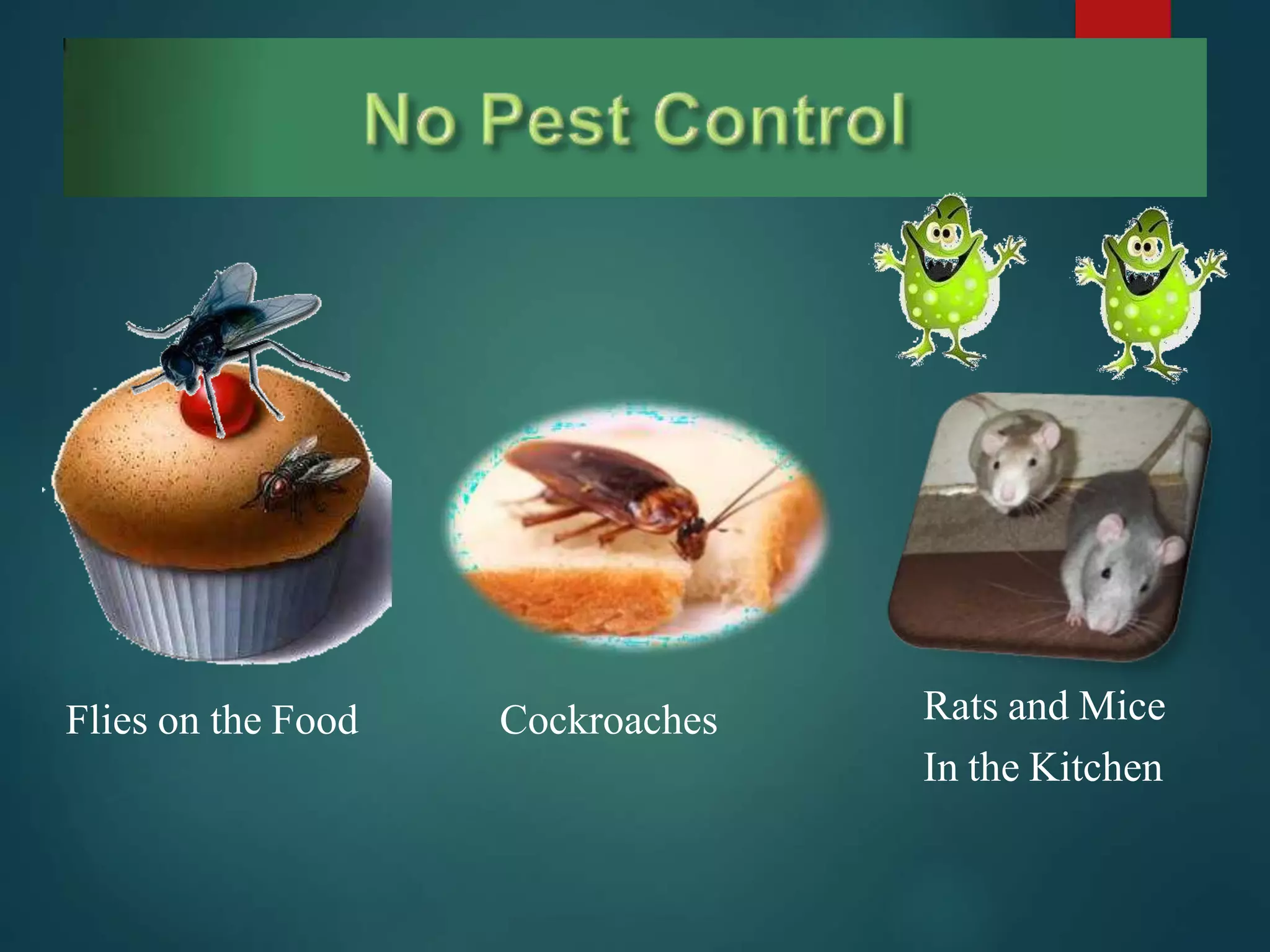 Basic Introduction to Food Hygiene.pptx
