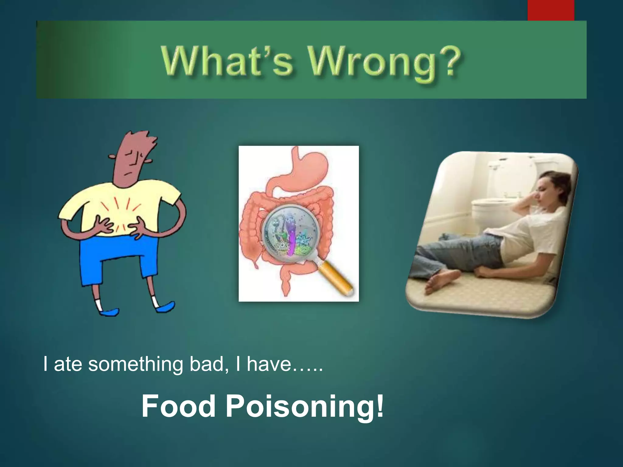 Basic Introduction to Food Hygiene.pptx