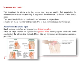 Basic introduction to Pharmacology | PPTX