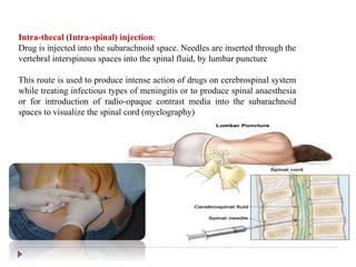 Basic introduction to Pharmacology | PPTX
