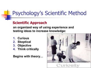Basic introduction to research methods | PPT