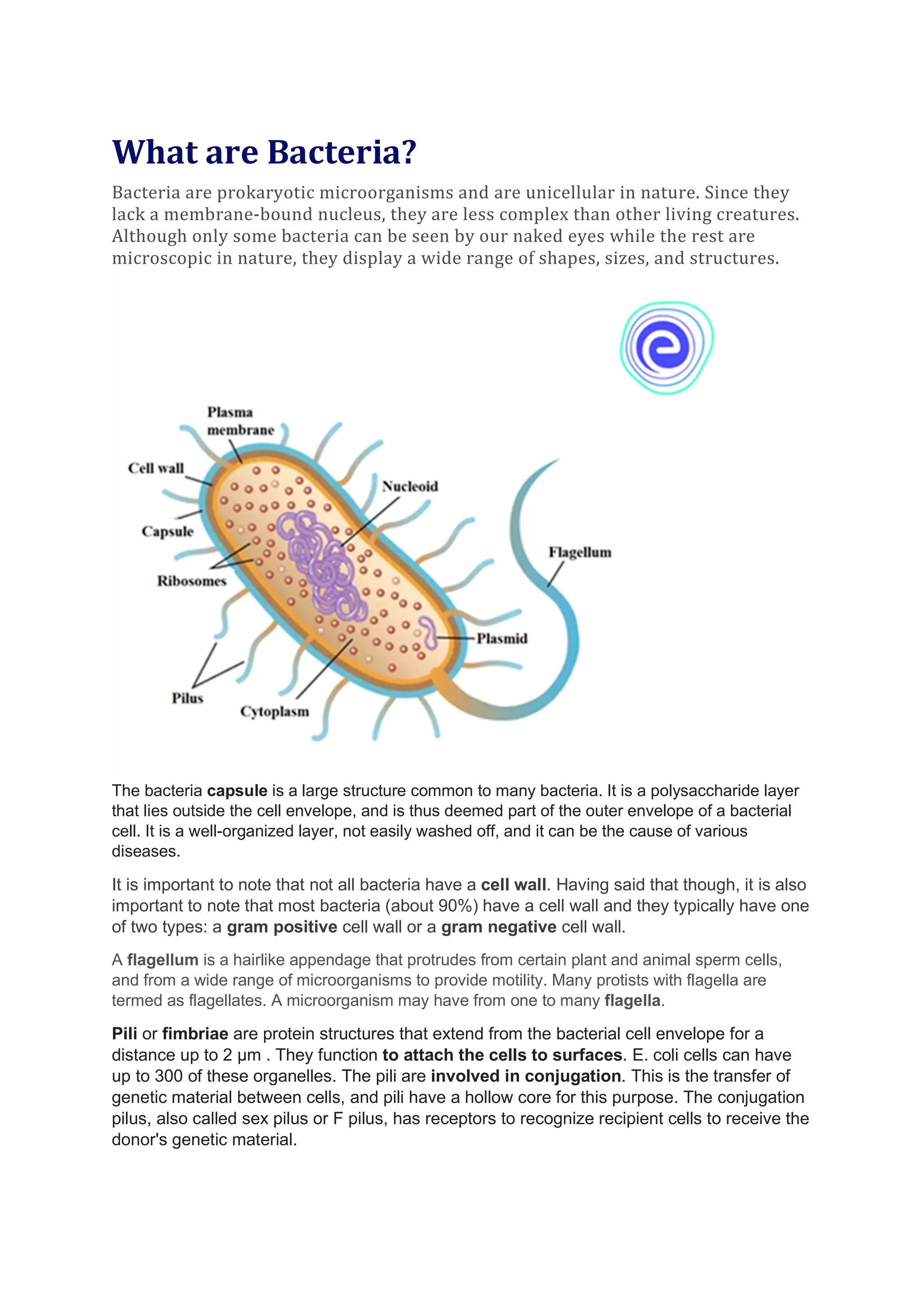 basic introdution on bacteria.pdf