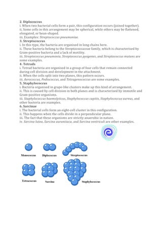 basic introdution on bacteria.pdf