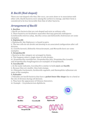 basic introdution on bacteria.pdf