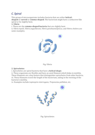 basic introdution on bacteria.pdf
