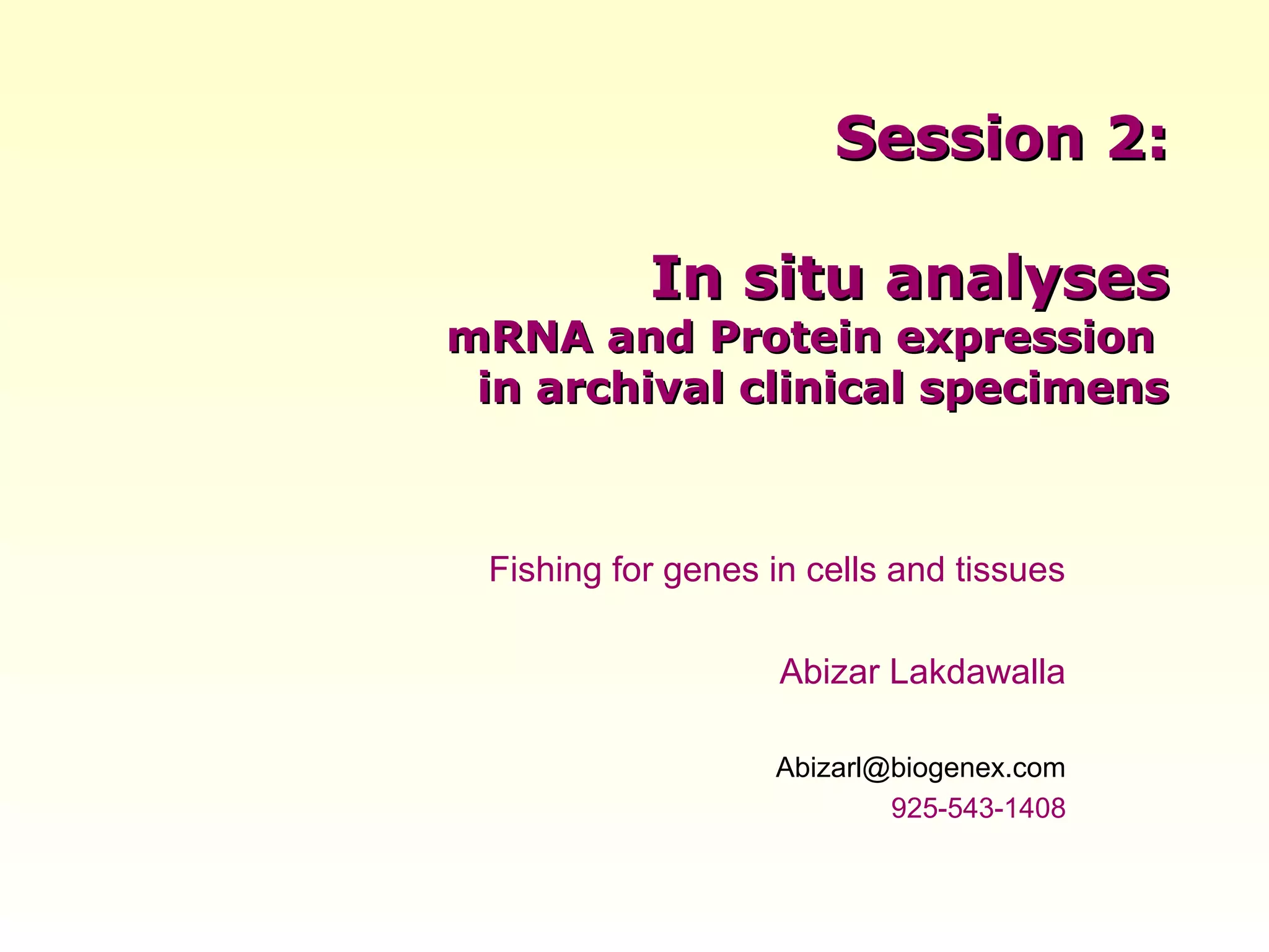 In situ hybridization (ISH) analyses | PPT