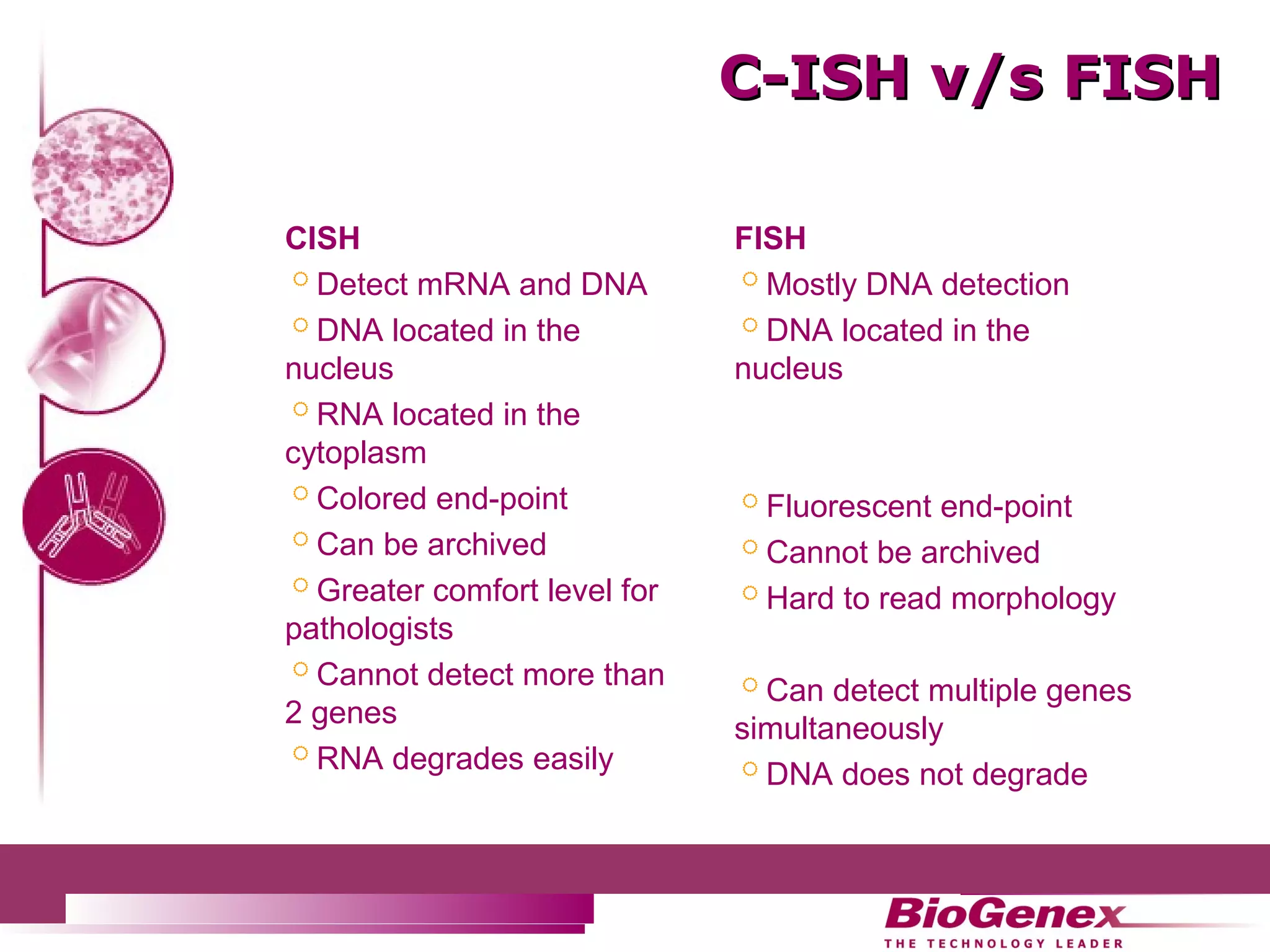 In situ hybridization (ISH) analyses | PPT