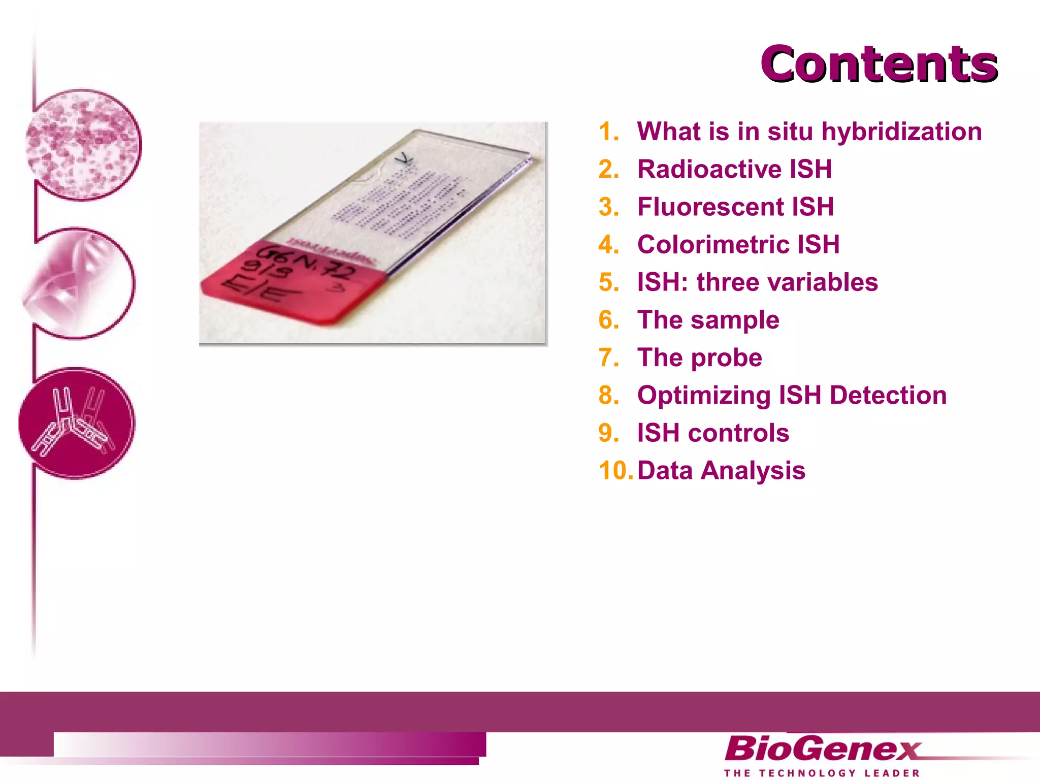 In situ hybridization (ISH) analyses | PPT