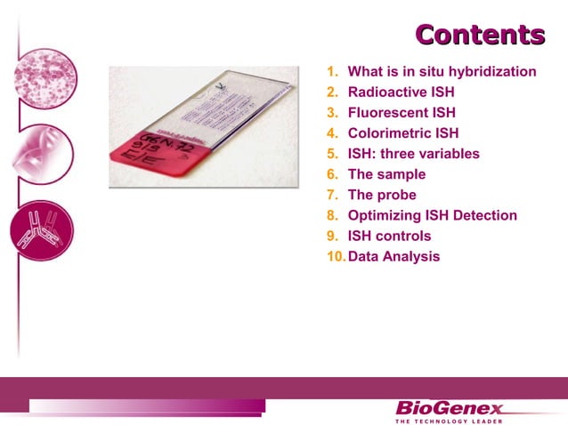 In situ hybridization (ISH) analyses | PPT | Chemistry | Science