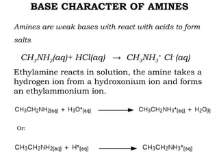 BASICITY .AMINES, AMIDESORGANIC.pptx.ppt
