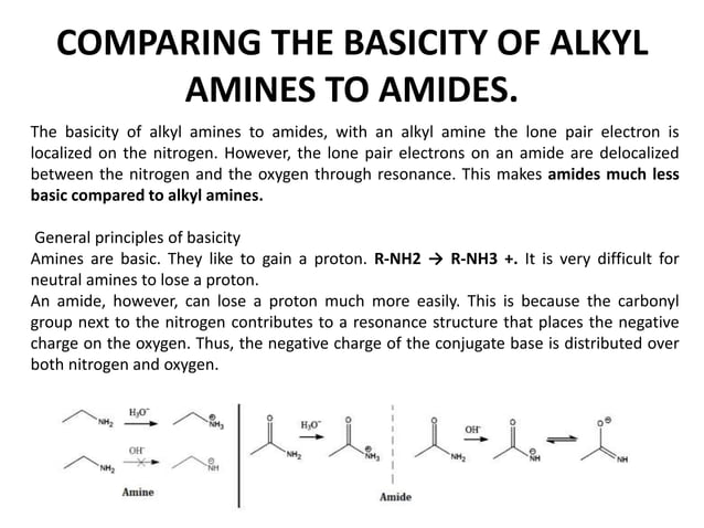 Basicity of amines.pptx