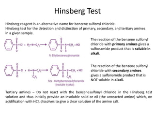 Basicity of amines.pptx