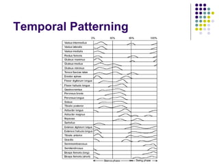 Basic kinematic concepts | PPT