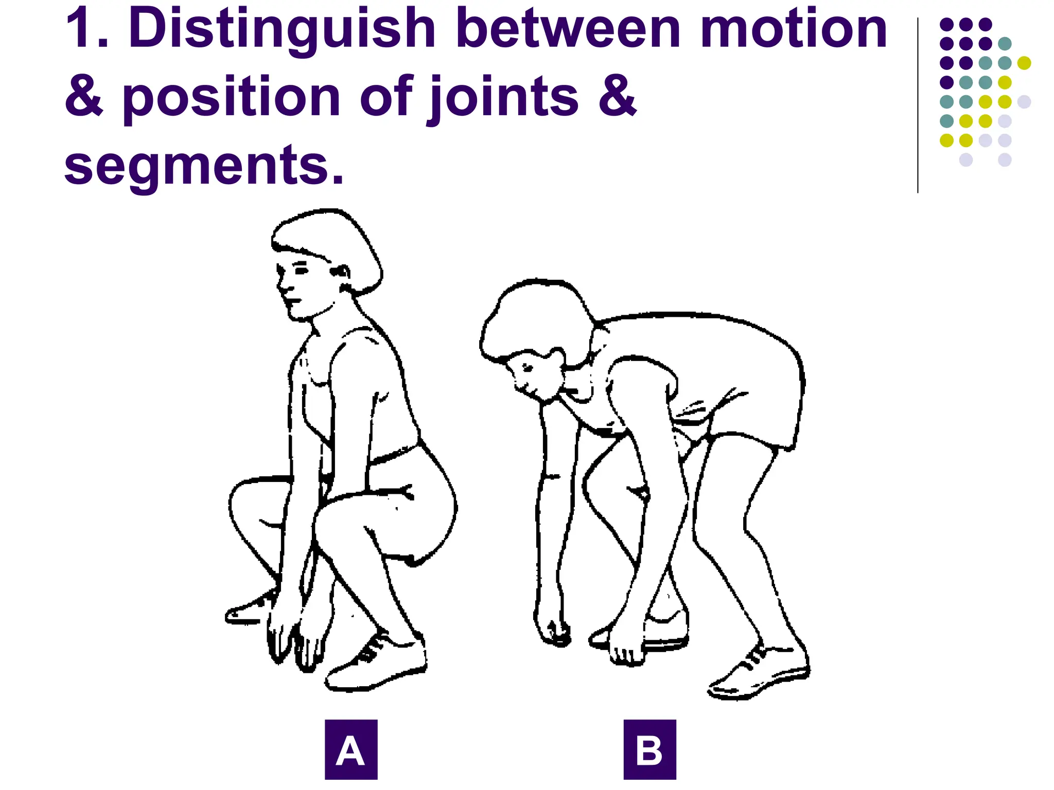 Basic Kinematic Concepts for physical education students | PPT