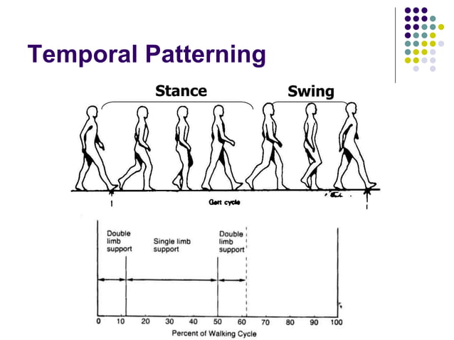 Basic Kinematic Concepts for physical education students | PPT