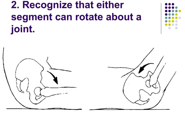 Basic Kinematic Concepts for physical education students | PPT