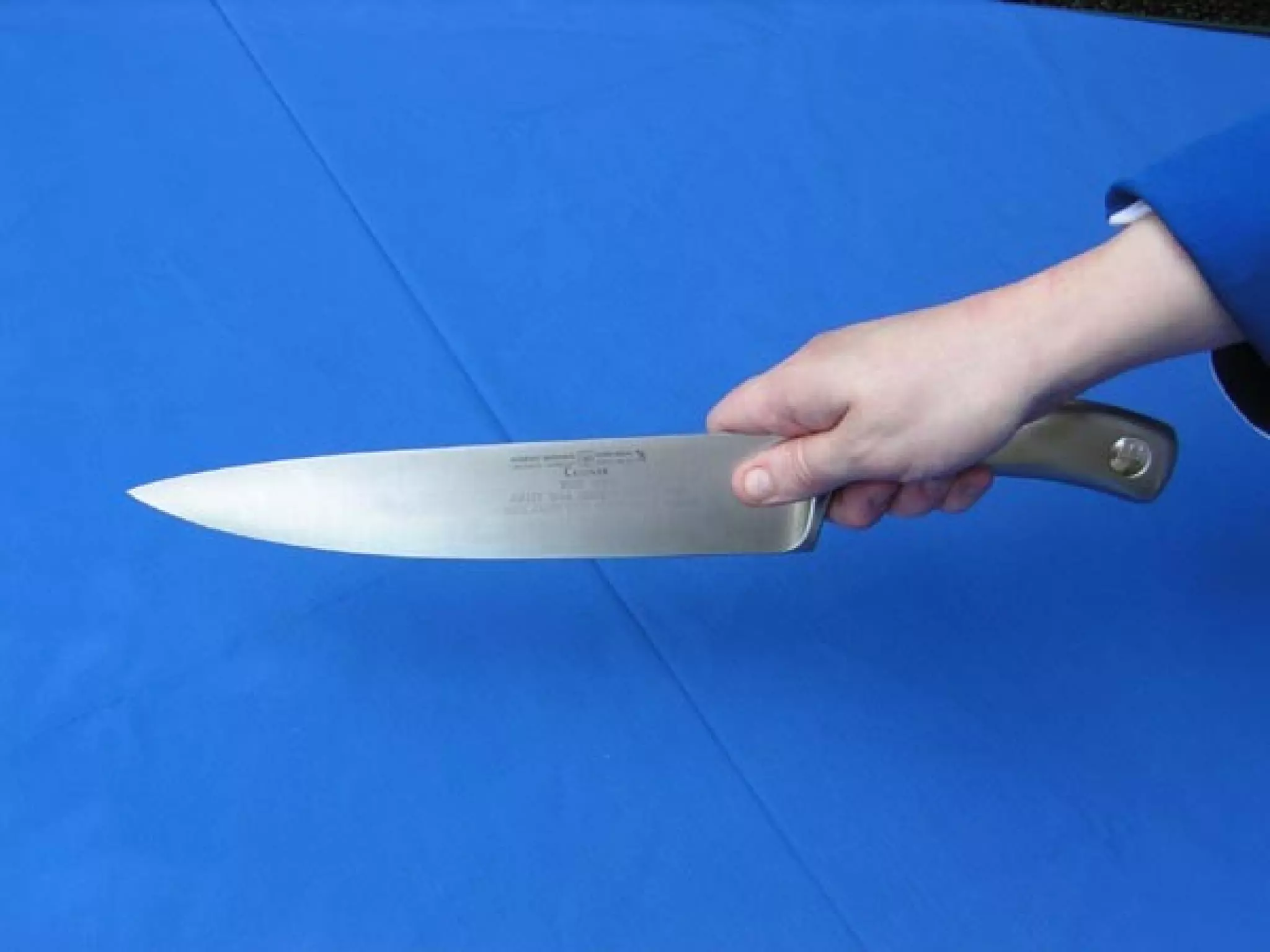 Basic Knife Skills | PPT