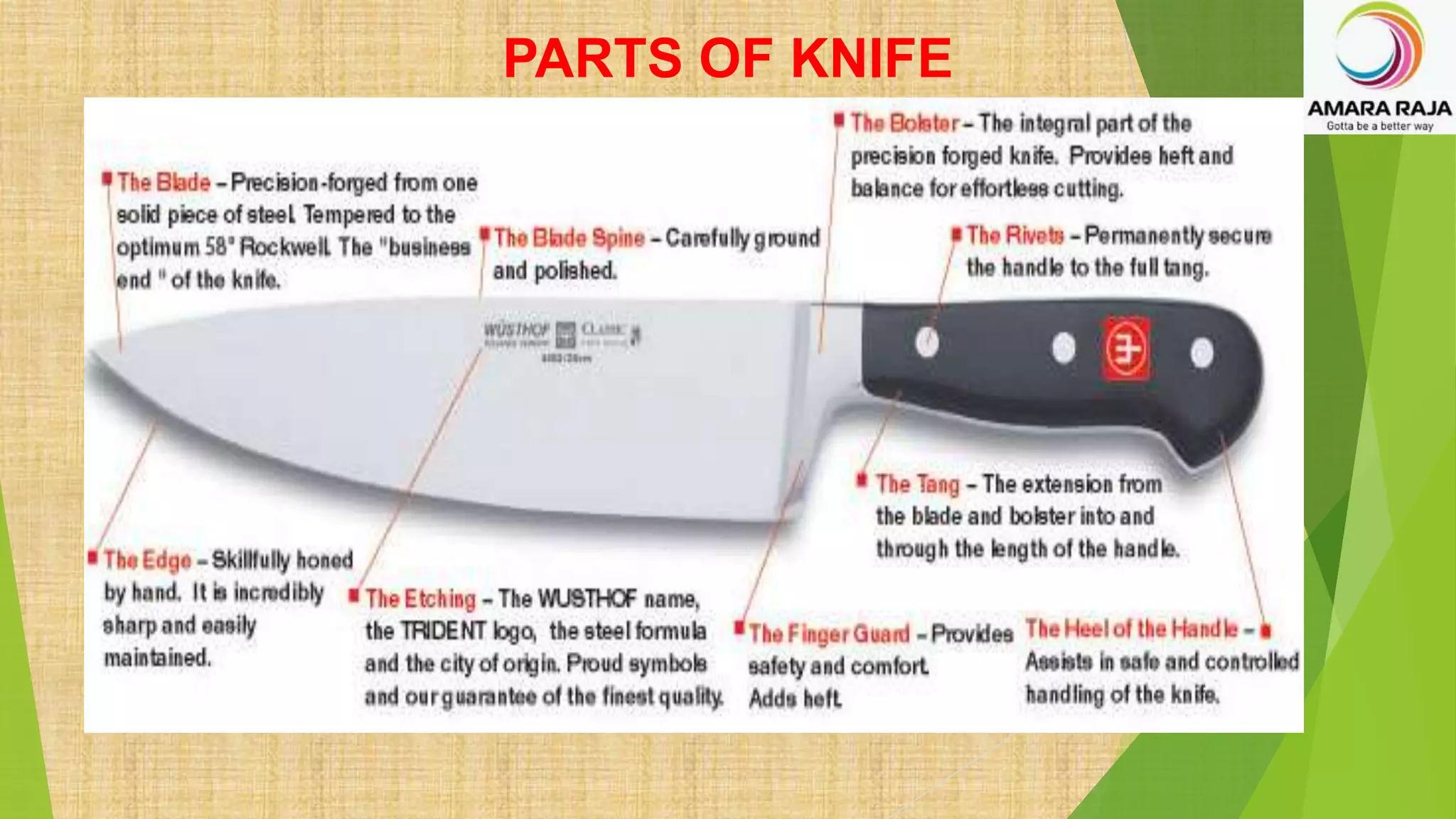 Basic knife skills and different types of vegetable cutting | PPTX