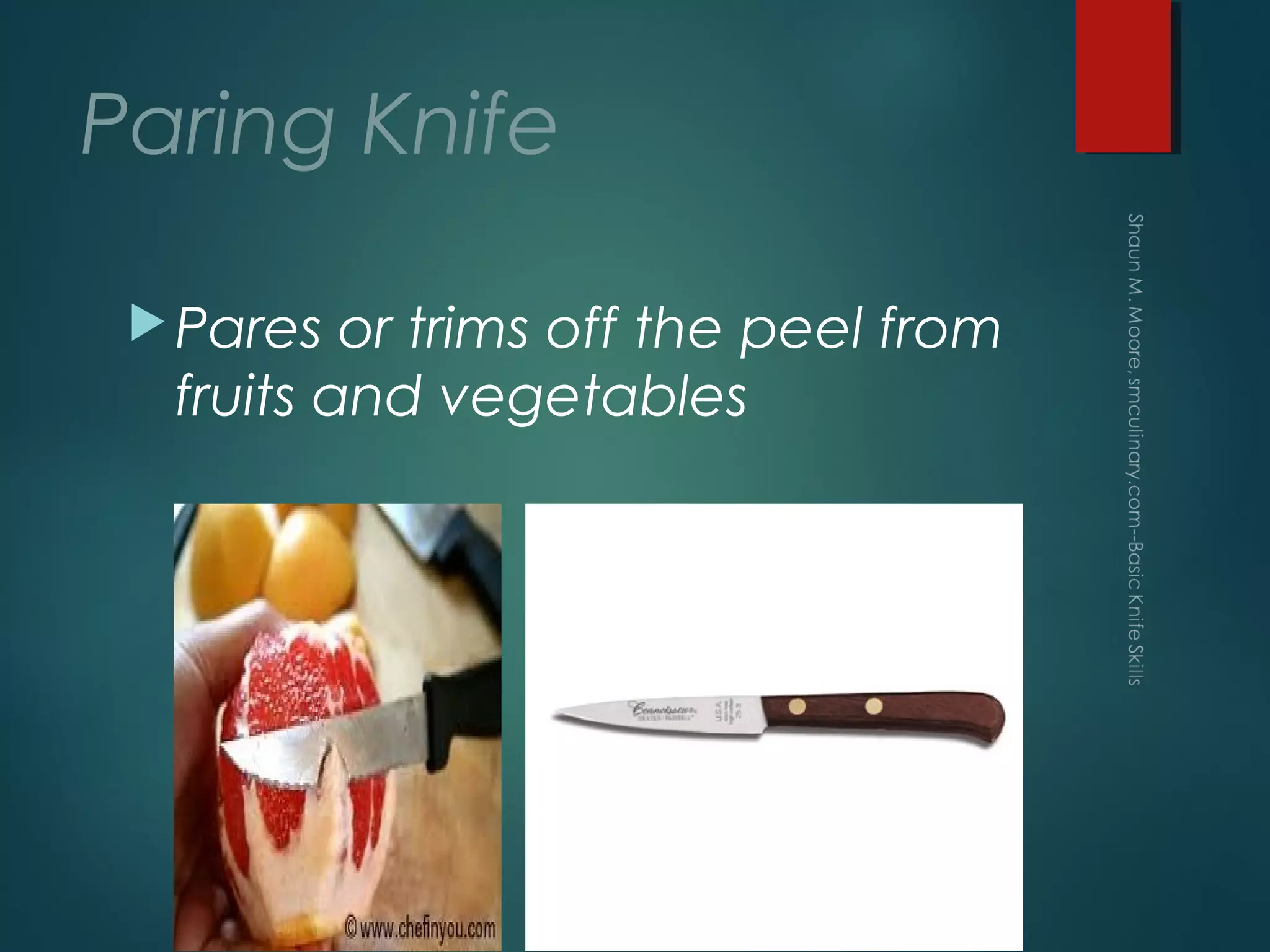 Basic knife skills presentation | PPT