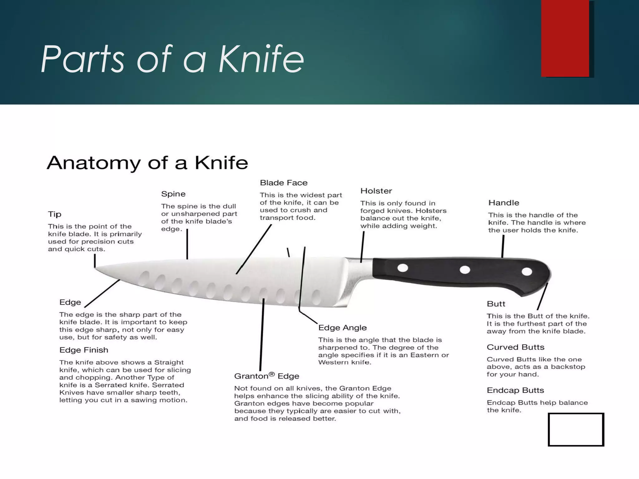 Basic knife skills presentation | PPT