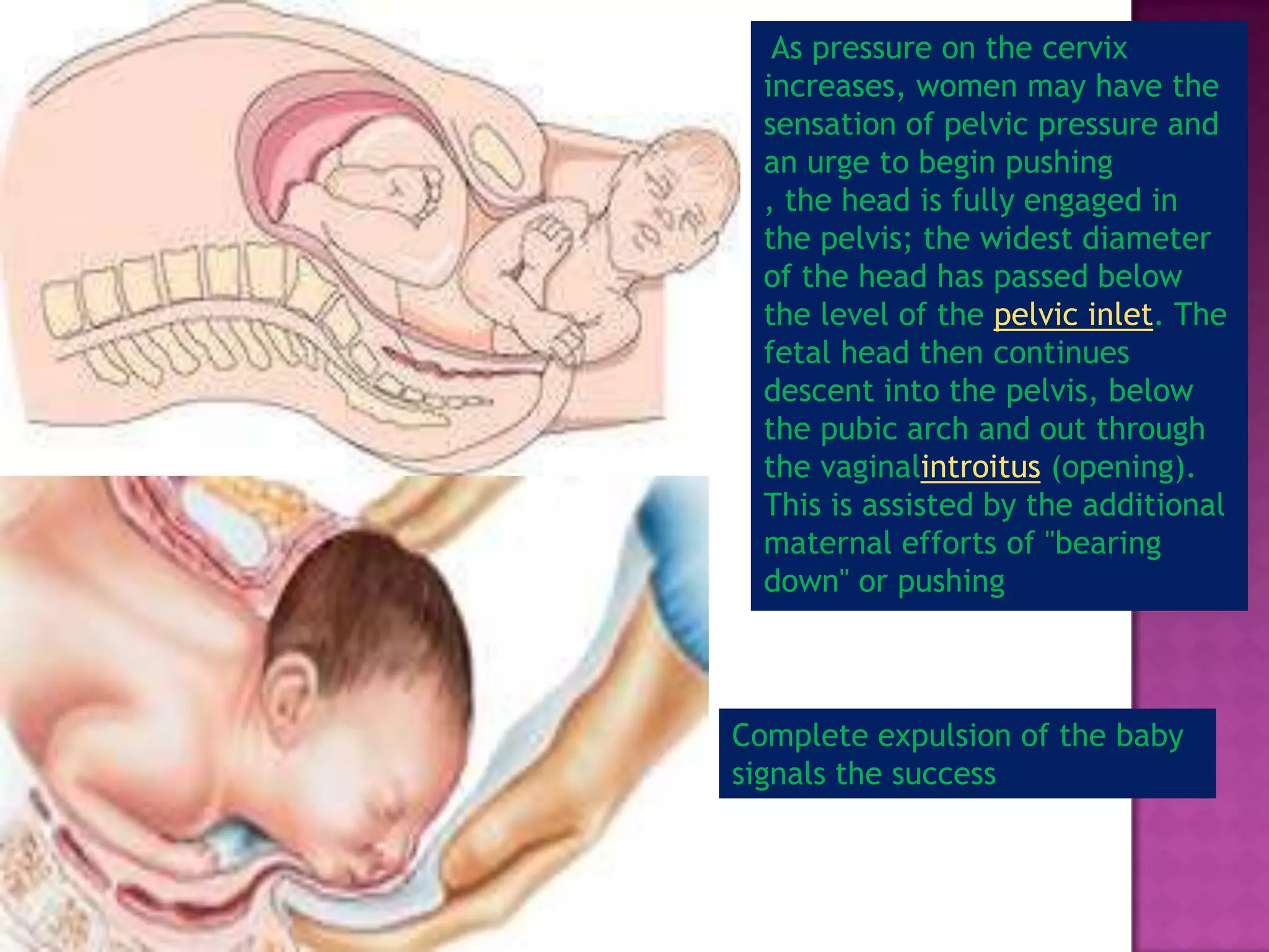 Basic knowledge about delivery process | PPTX
