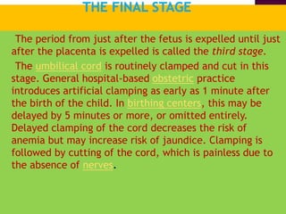 Basic knowledge about delivery process | PPTX | Pregnancy ...