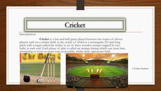 Basic knowledge of sports | PPT