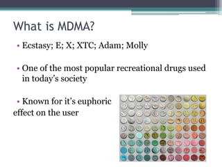 Basic Knowledge on MDMA | PPT
