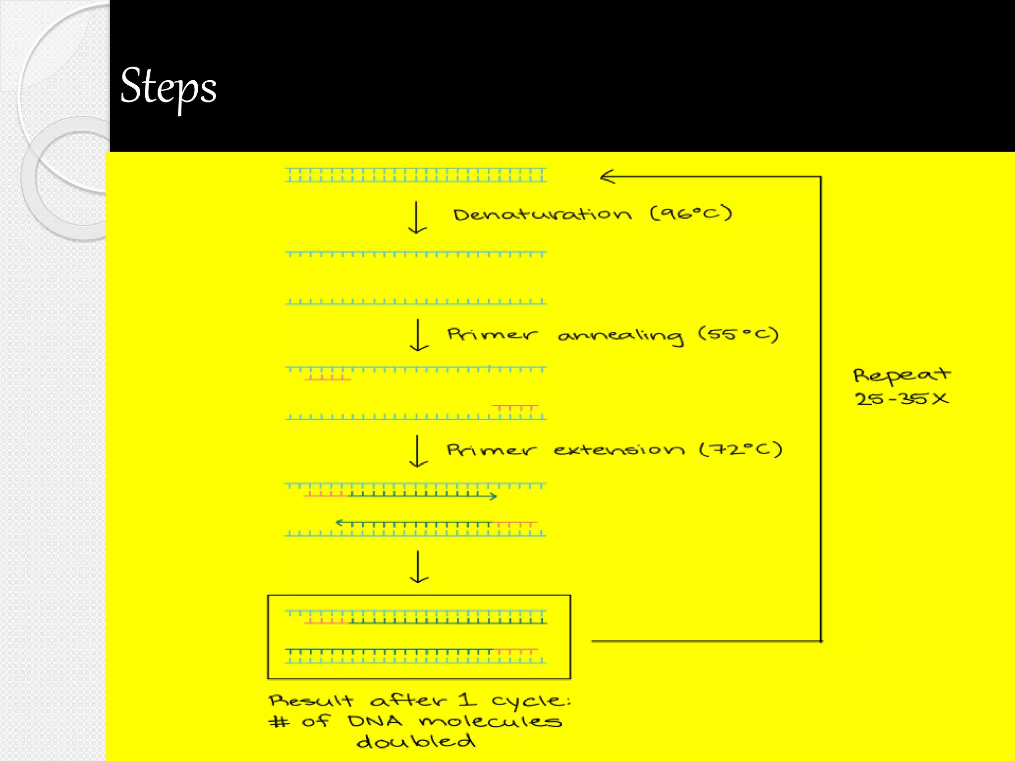 Basic labe molecular techniques used in biotechnology.....made by muhammad kamran | PPTX