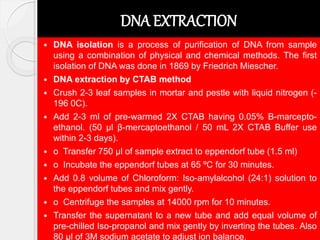 Basic labe molecular techniques used in biotechnology.....made by ...