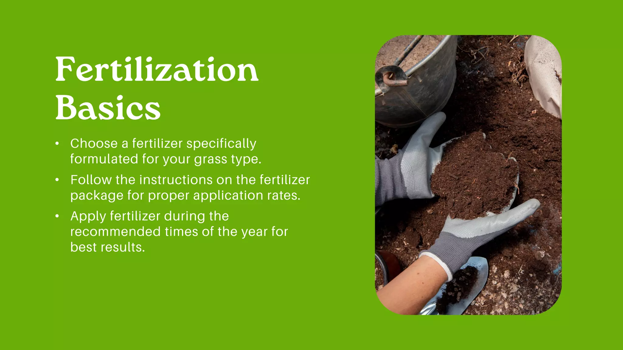 Basic Lawn Care Techniques | PDF