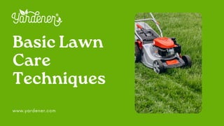 Basic Lawn Care Techniques | PDF