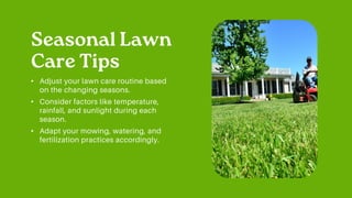 Basic Lawn Care Techniques | PDF