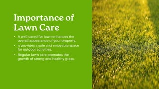 Basic Lawn Care Techniques | PDF